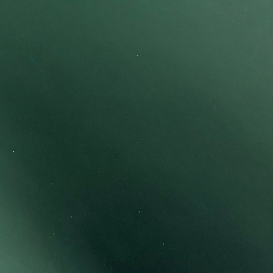 Box Calf 2.0mm | Haas