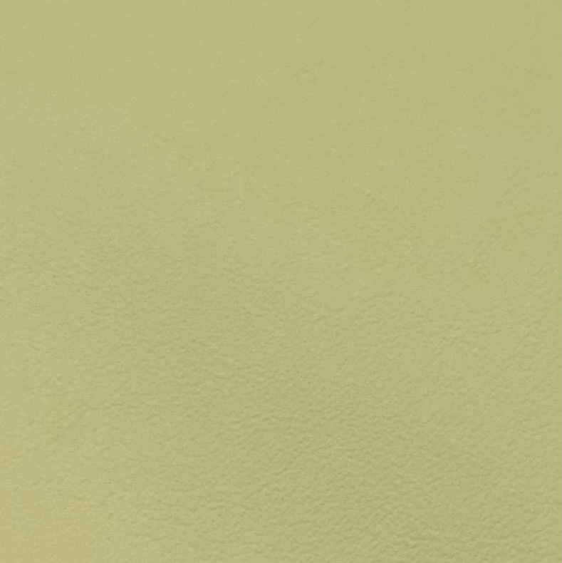 Miami | Mint Leather for furniture | Upholstery leather